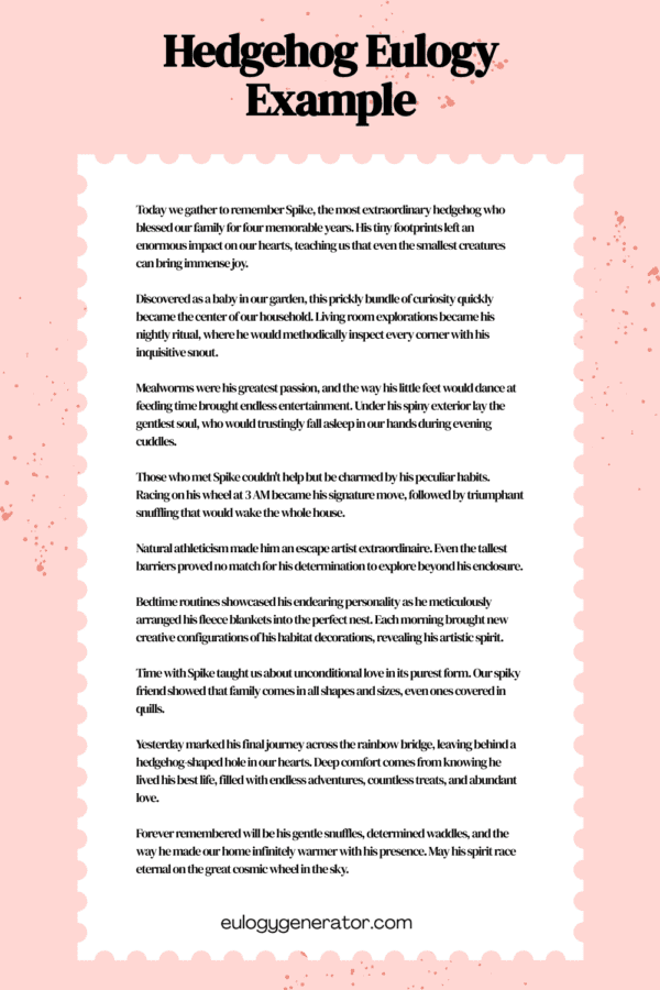 25 Eulogy Examples to Help You | Eulogy Generator