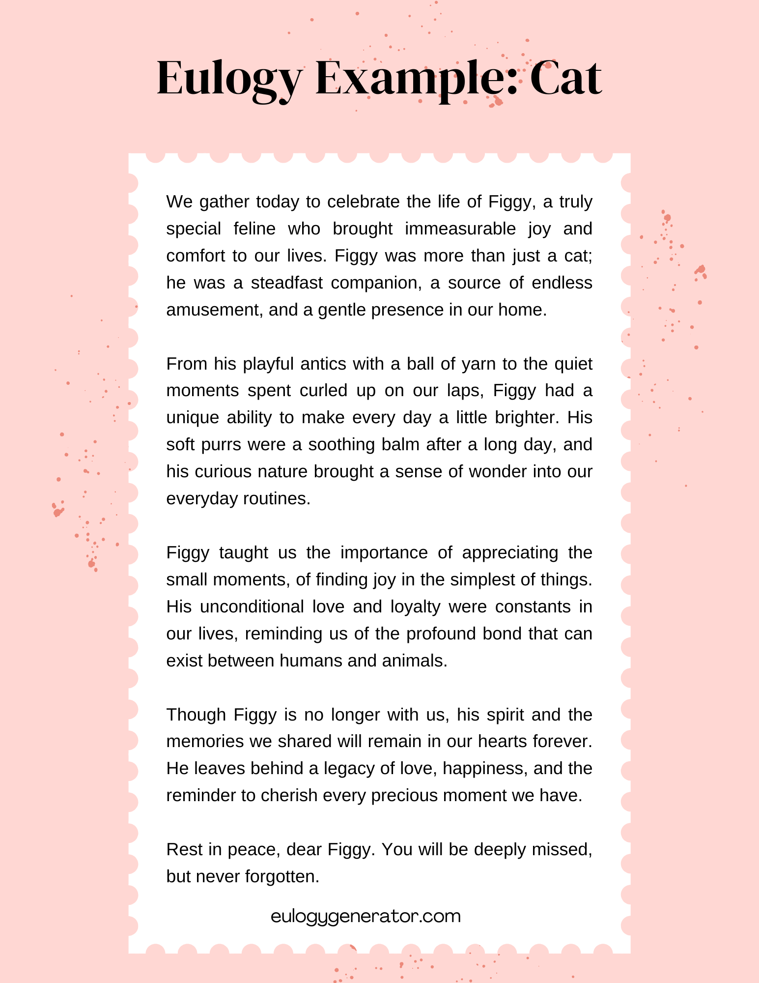 25 Heartfelt Cat Eulogies | Eulogy Generator